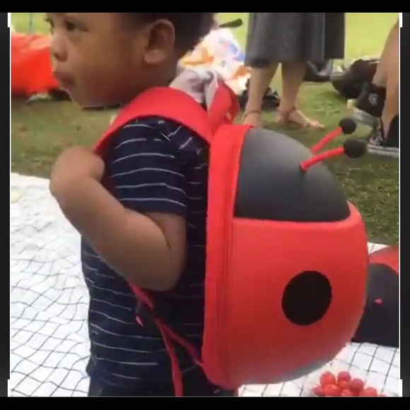 Other | Cute Ladybug Backpack Ladybug Backpack Child | Poshmark